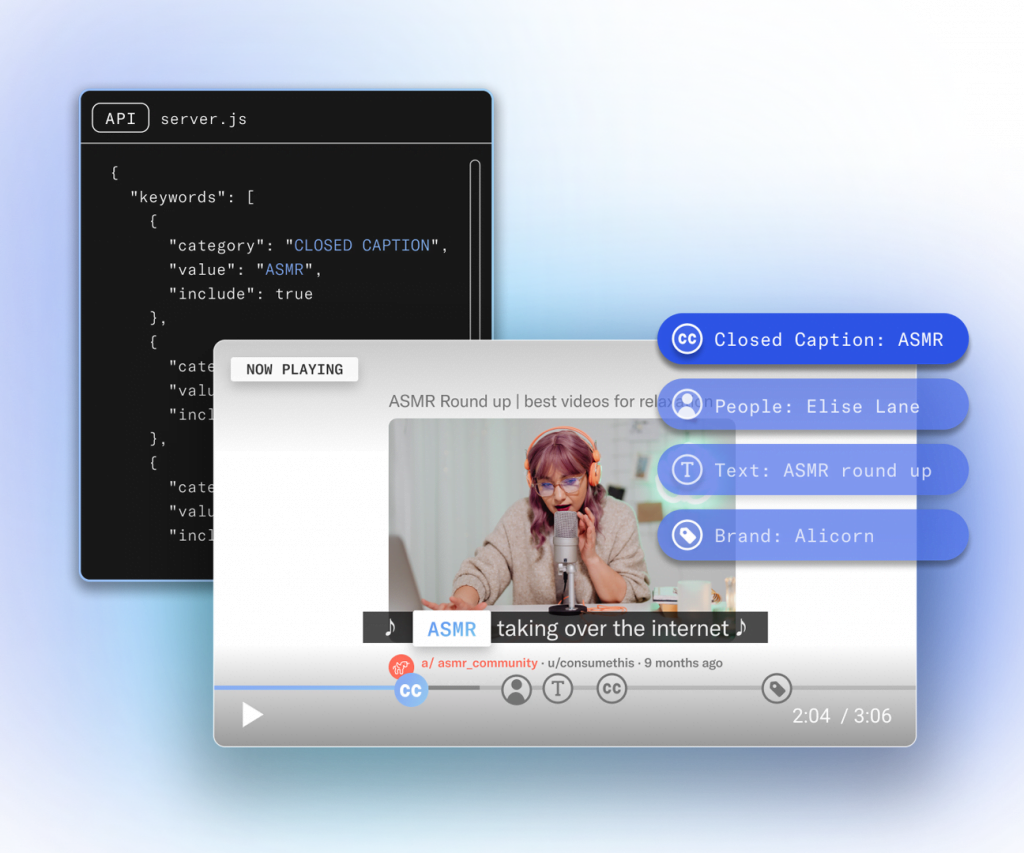 Visual Intelligence API | AnyClip